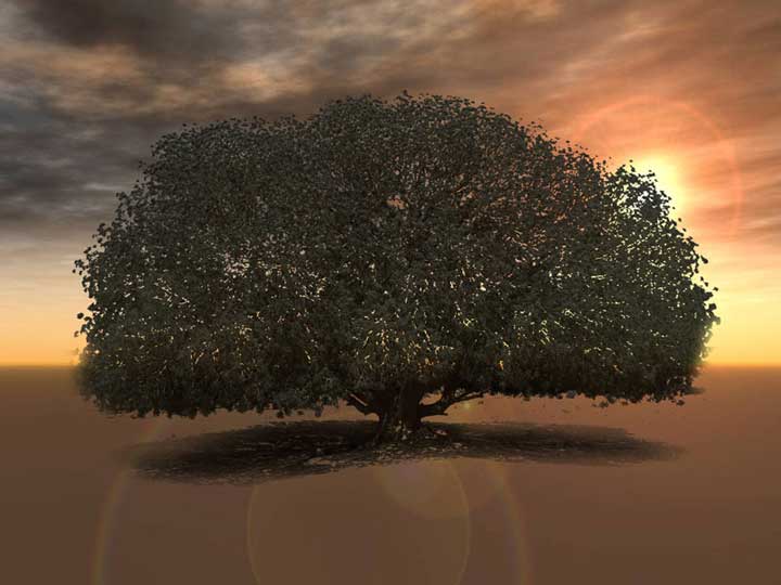 About Us - National Resources Investment & Development Corporation MAWARED